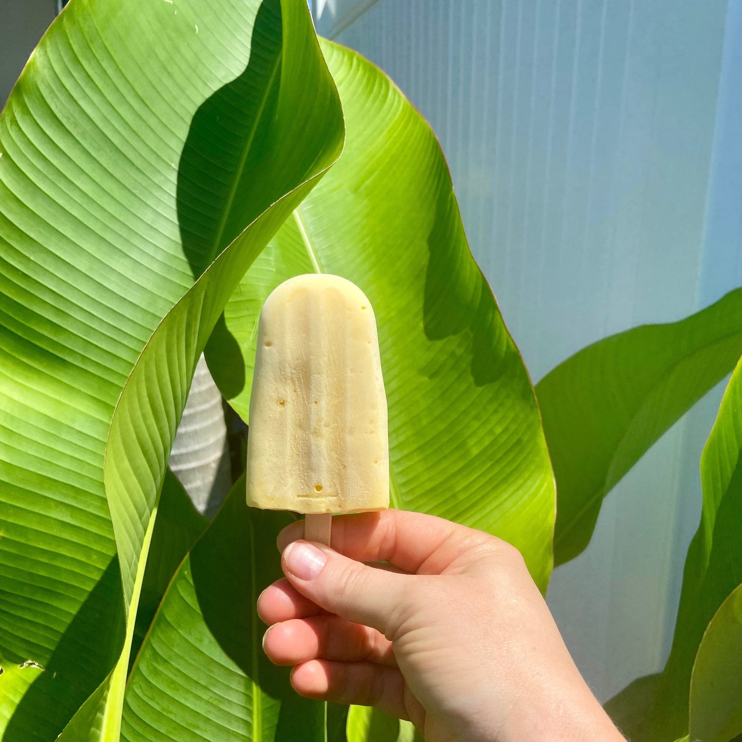 Creamy Mango Ice Blocks