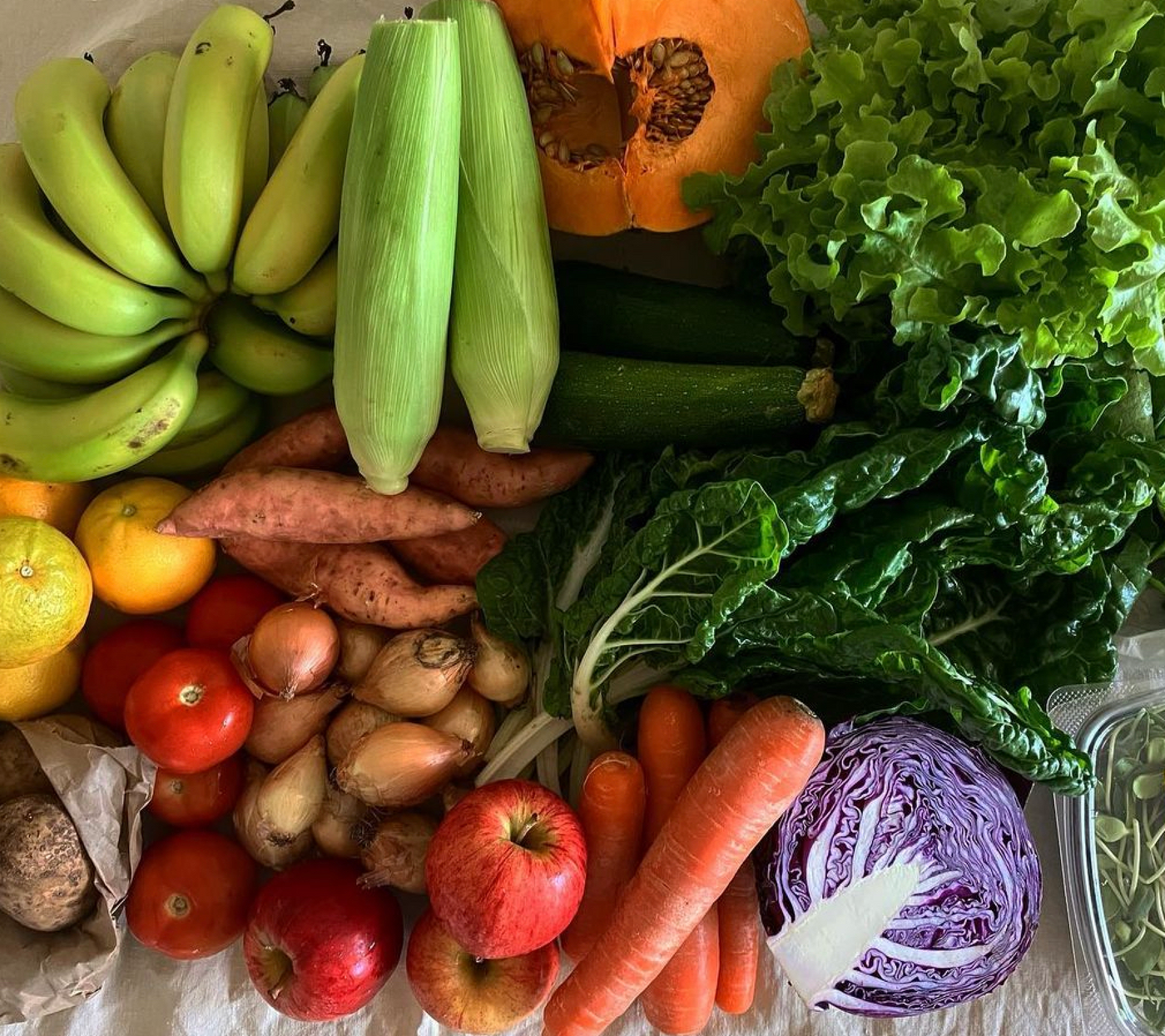 Large Organic Farm Fruit & Veggie Box